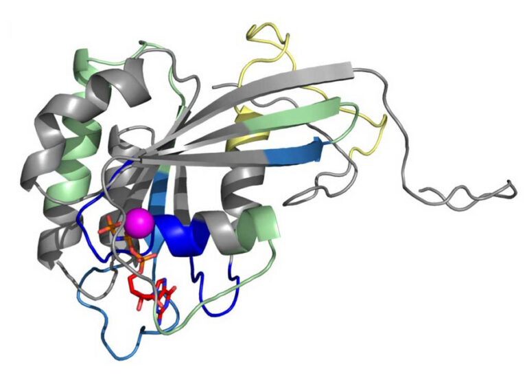 On and Off Switch for Protein Patterns - Zerial Lab