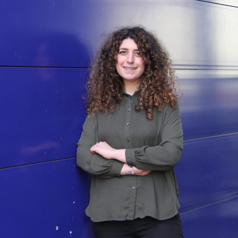 Zerial Lab - Biogenesis of Early Endosomes