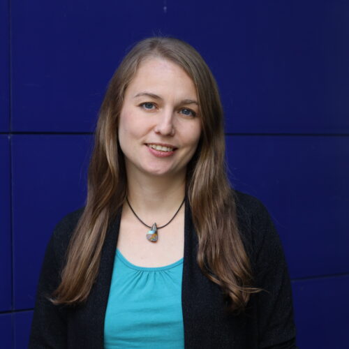 Zerial Lab - Exploiting the Endosomal System for the Delivery of ...